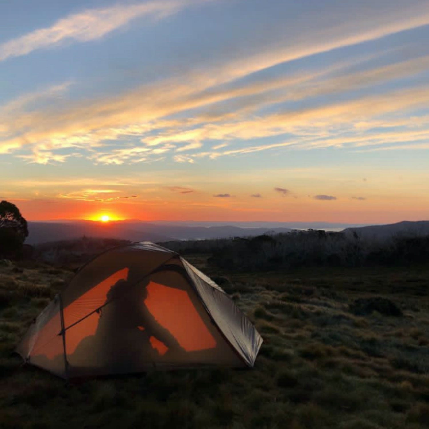 A Mont Gear Love Letter