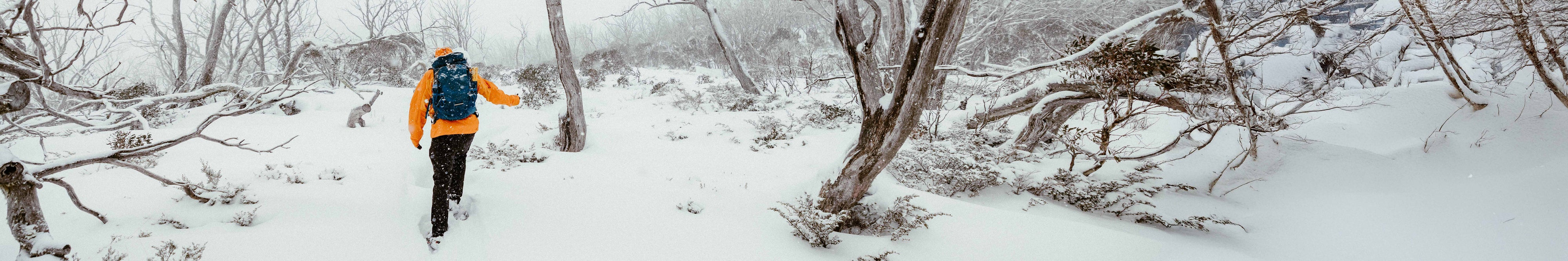 Snowshoes - Quality Shoes for Snow for Maximum Performance